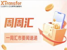 XT周周汇 | 美元获得短期支撑，但“暴风雨”仍未过去—XTransfer